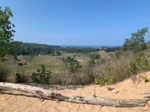 Courtney's Soul Reflections – Authentic Reflections for a Conscious ...